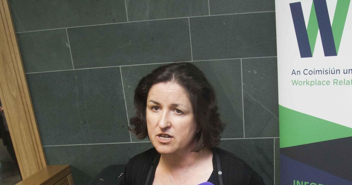 An Bord Pleanála 'had to be helped' following year of scandal