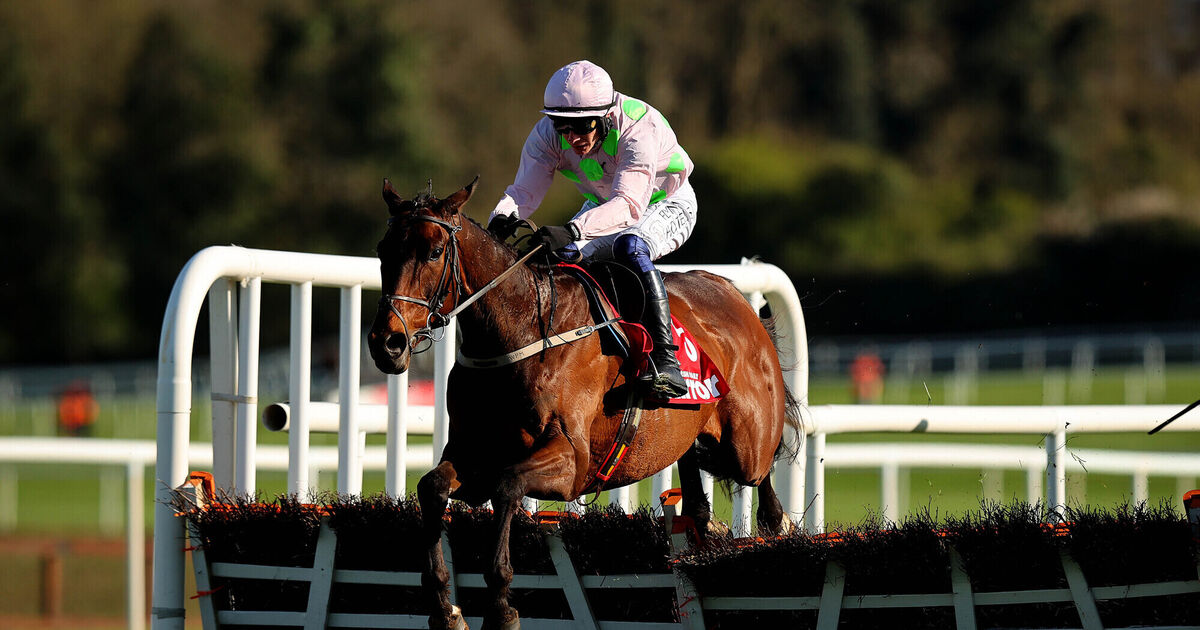 Gaelic Warrior takes three miles in his stride for emphatic success