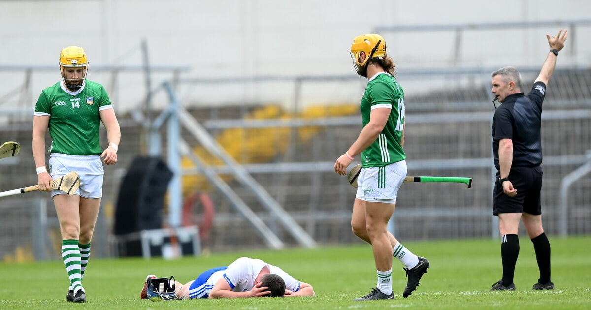 Scientific paper recommends heavier punishment for hits to head in hurling