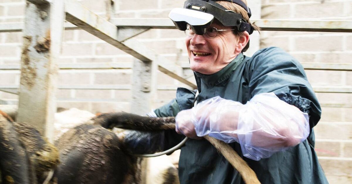 The cow detective - getting to the bottom of your fertility woes