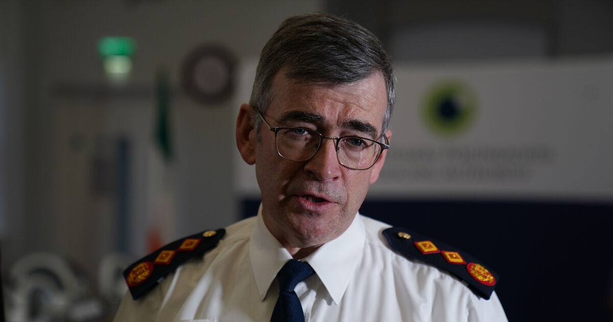 Watchdog alarm over Garda resources