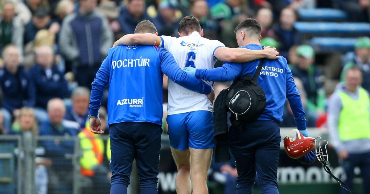 Hurling team news: Barron replaces injured De Búrca for Waterford