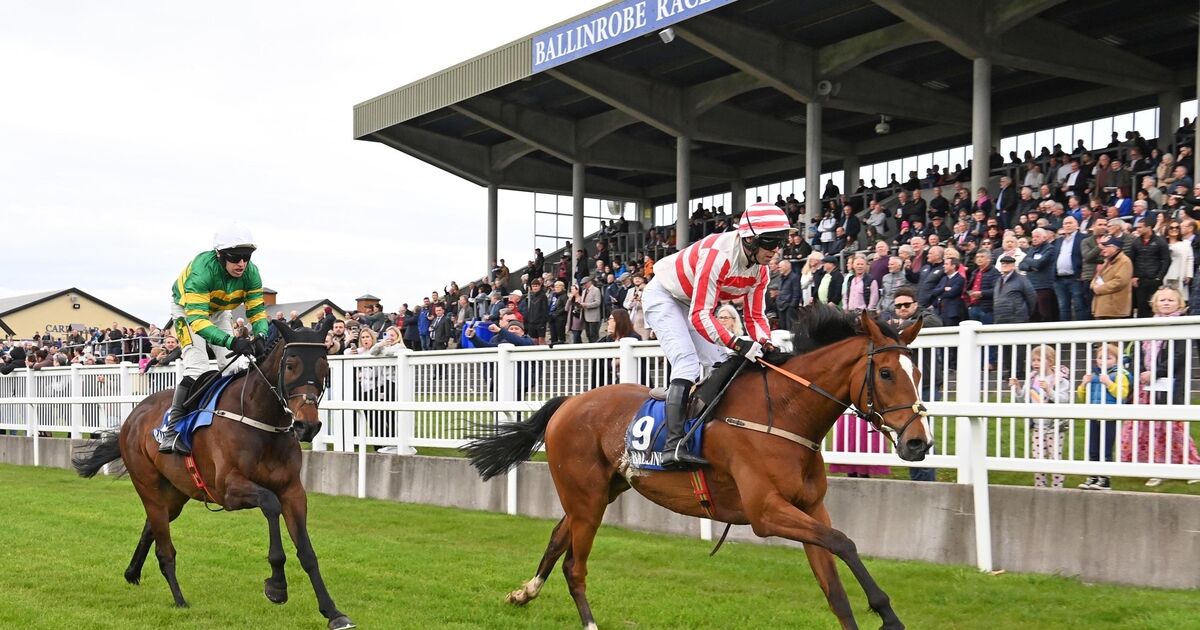 Senecia turns over hotpot Hercule Du Seuil at Ballinrobe