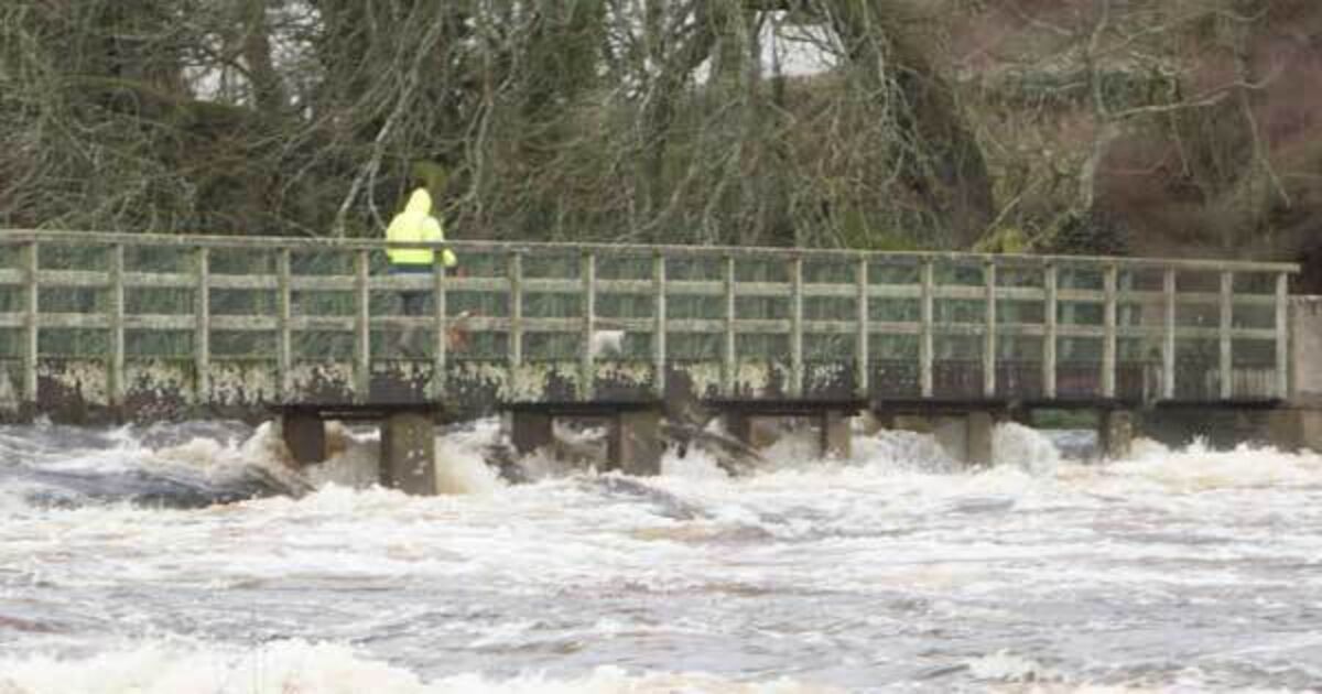 Areas along River Shannon braced for flooding as rain warning extended ...