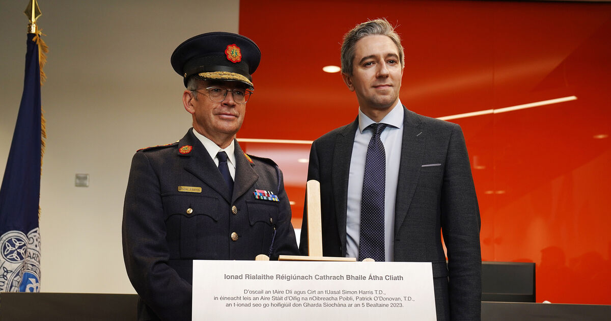 Bolstering Garda numbers post-Covid has taken time, says Simon Harris
