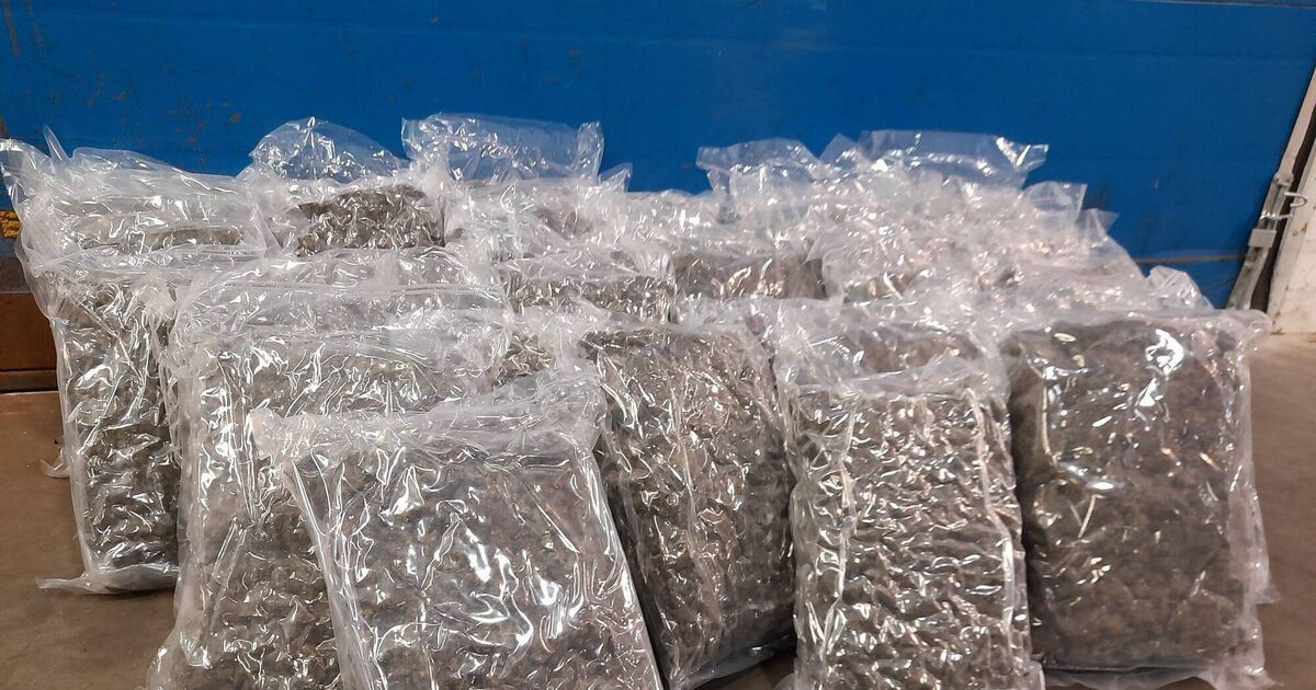 Two arrested as drugs worth €750,000 seized in Dublin