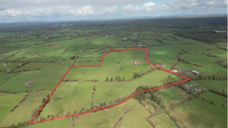 53-acre Golden Vale Limerick farm seeking €11k/acre