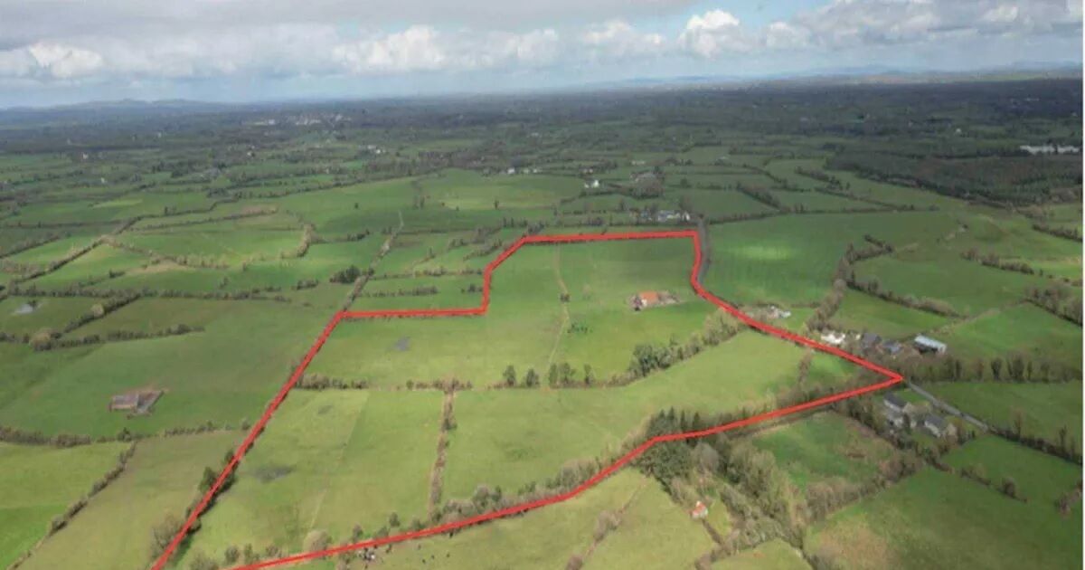 53-acre Golden Vale Limerick farm seeking €11k/acre