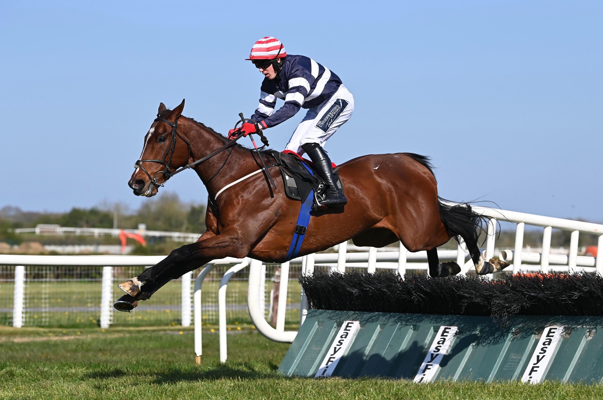 Clonmel tips: Wasthatok and Je T’ai Porte can strike for Gavin Cromwell