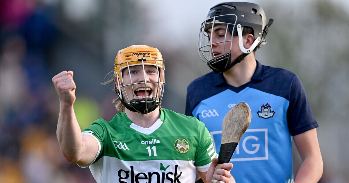 Offaly defeat Dublin to progress to Leinster U20 Hurling final