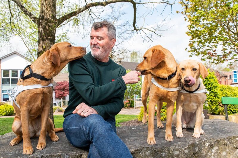 Roy Keane wants you to take the dog for a walk and help change 85 lives ...