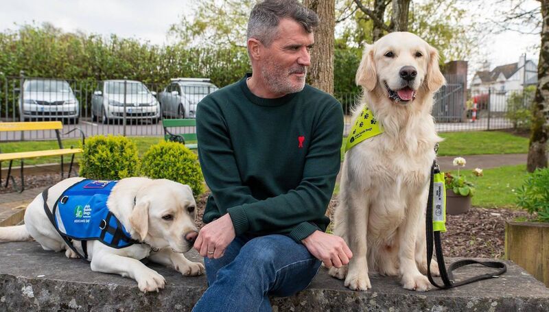 Roy Keane wants you to take the dog for a walk and help change 85 lives ...