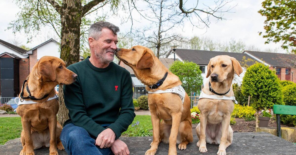 Roy Keane wants you to take the dog for a walk and help change 85 lives ...