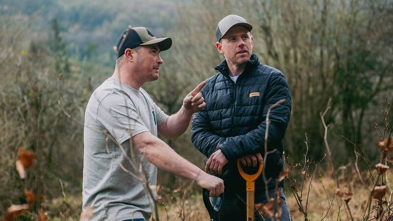 Workplace Wellbeing: The business case for going green