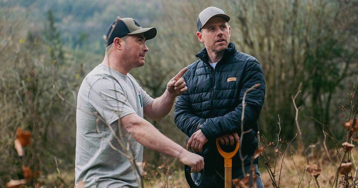 Workplace Wellbeing: The business case for going green