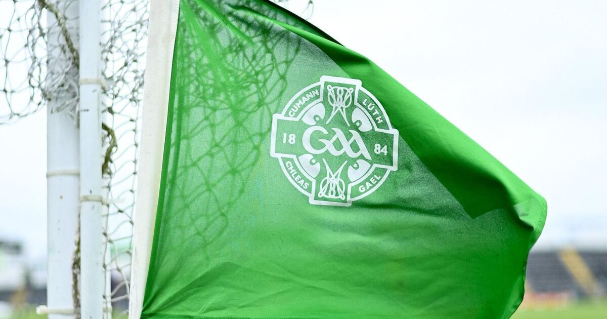 Hogan's late goal helps Limerick to win over Tipp