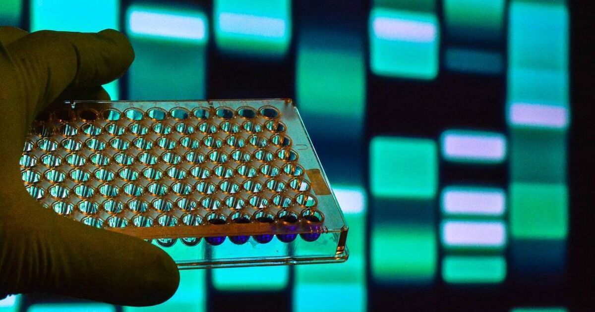 Humans are leaving their DNA everywhere — and it could lead to ethical ...