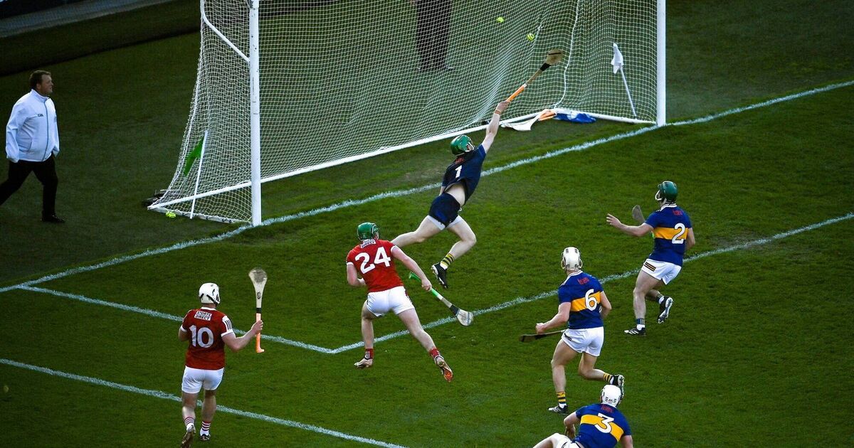 Robbie O’Flynn facing 'six weeks minimum' on sideline, says Pat Ryan