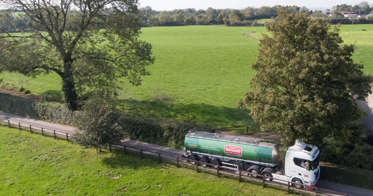 Dairygold reduces milk price by 2c