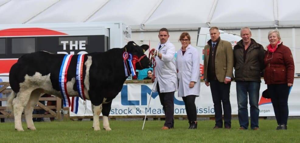 'What we dream of': Dunmanway Blue breeder clinches Balmoral breed ...