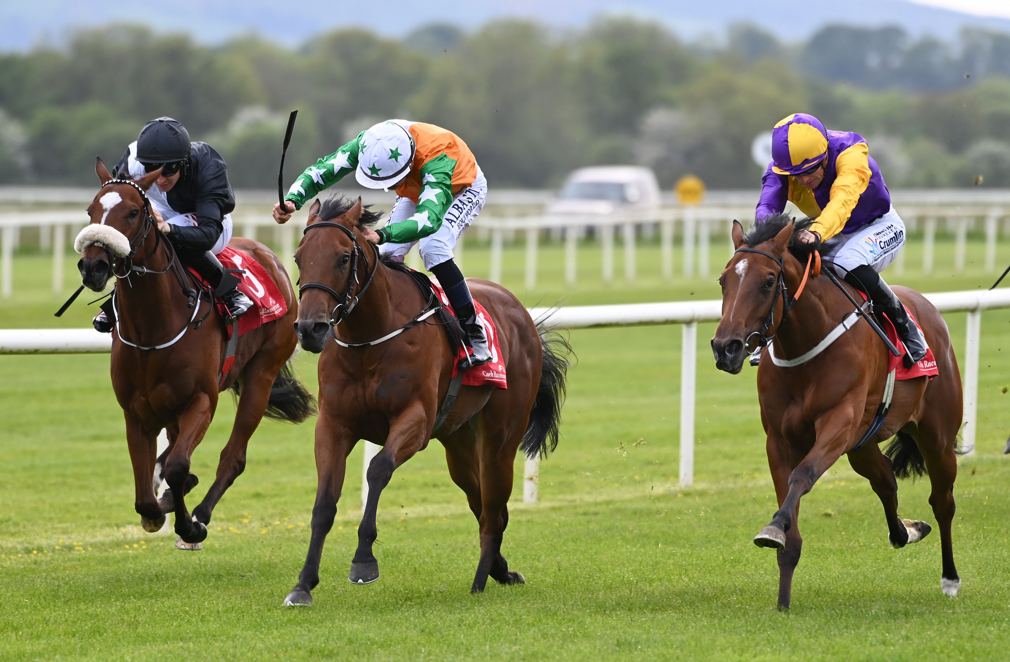 Tiger Belle justifies gamble to land Cork spoils