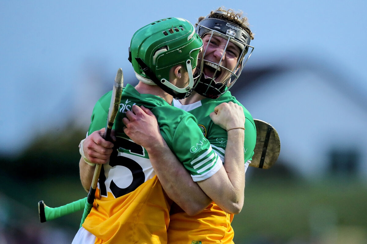 Fearless Offaly overcome Wexford in Leinster U20 Hurling Championship final