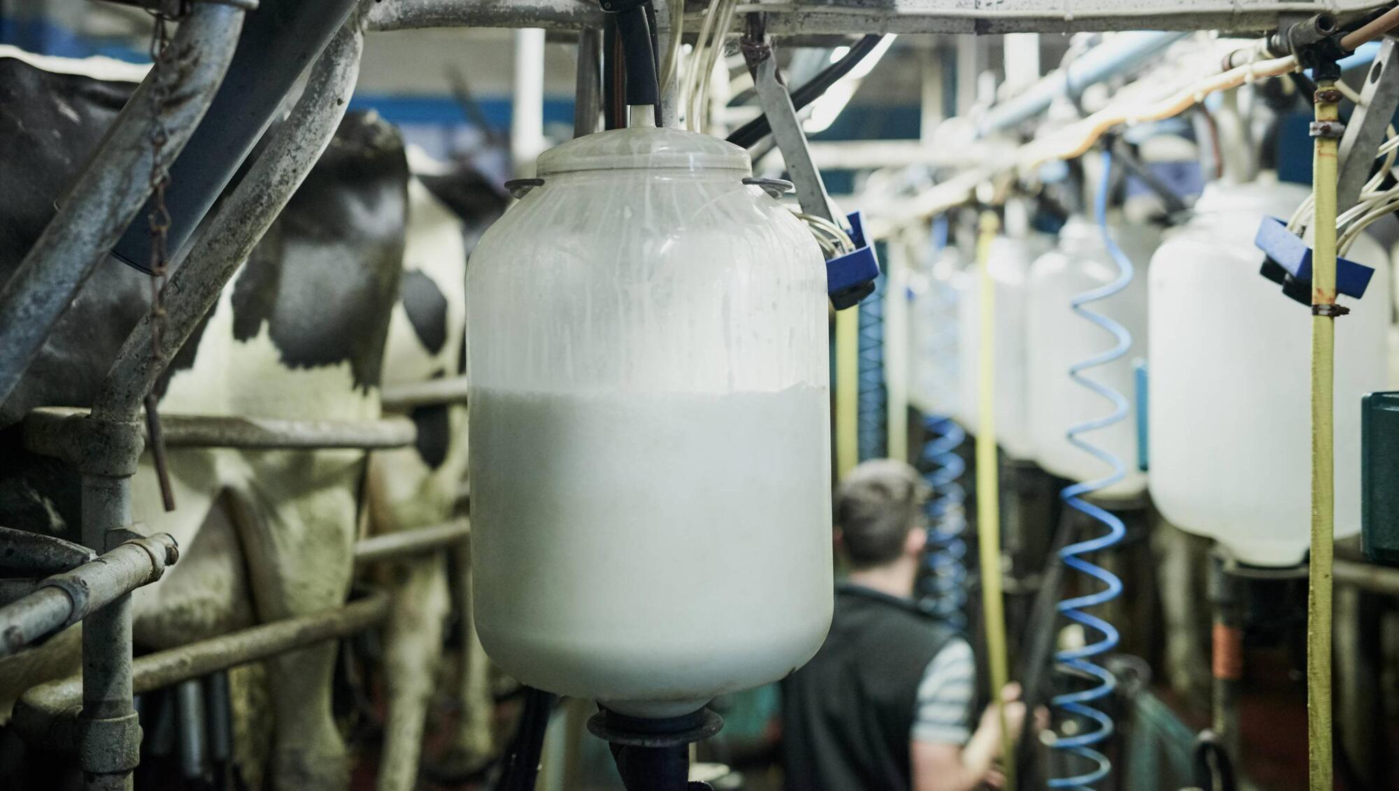 Carbery confirms reduced base milk price for April supplies