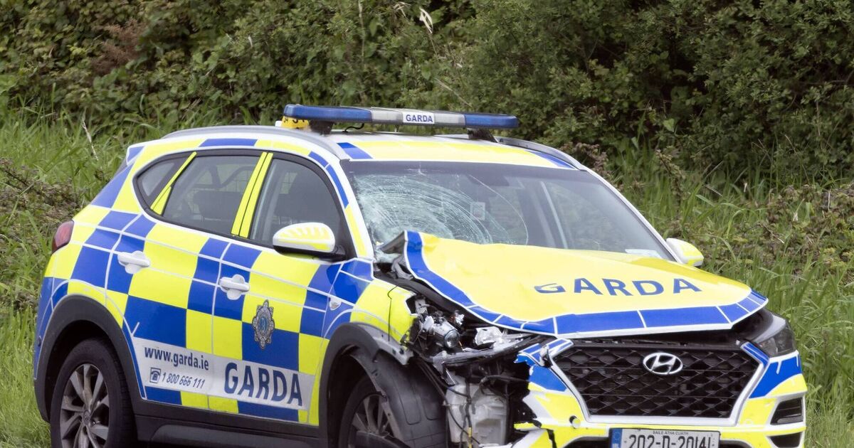 Pedestrian killed after being hit by garda car is named