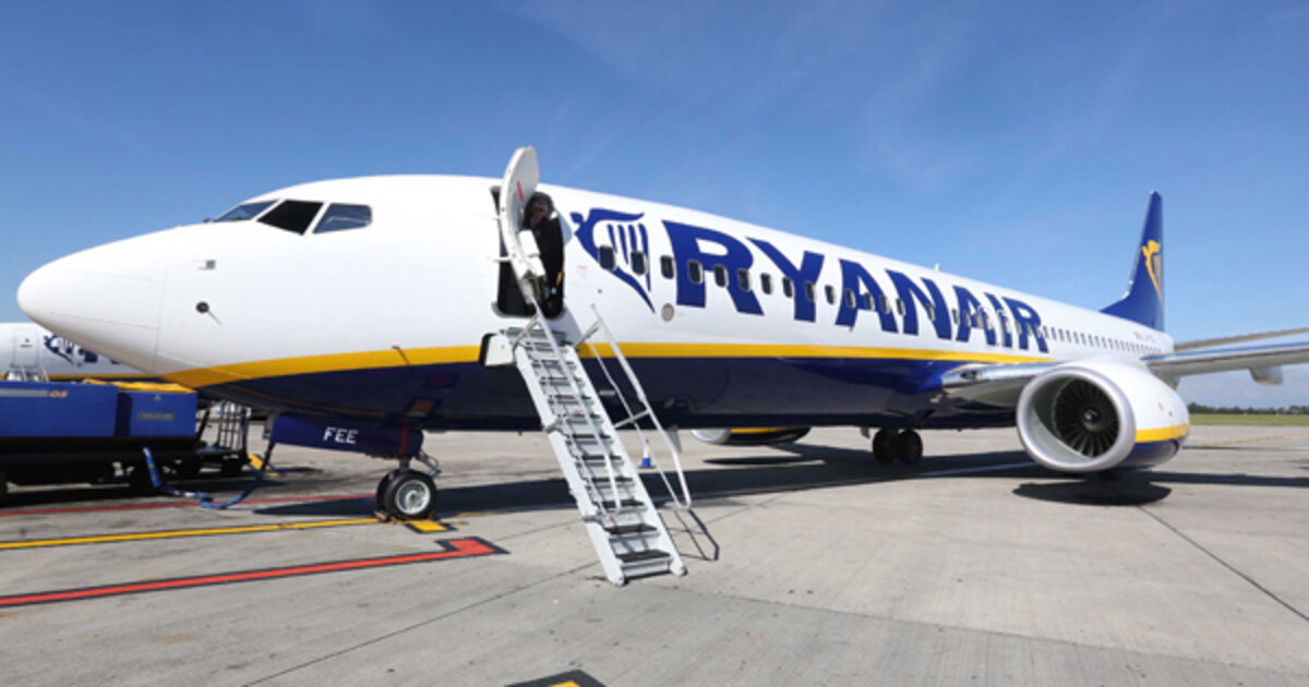 Book of evidence over alleged panini theft on Ryanair flight