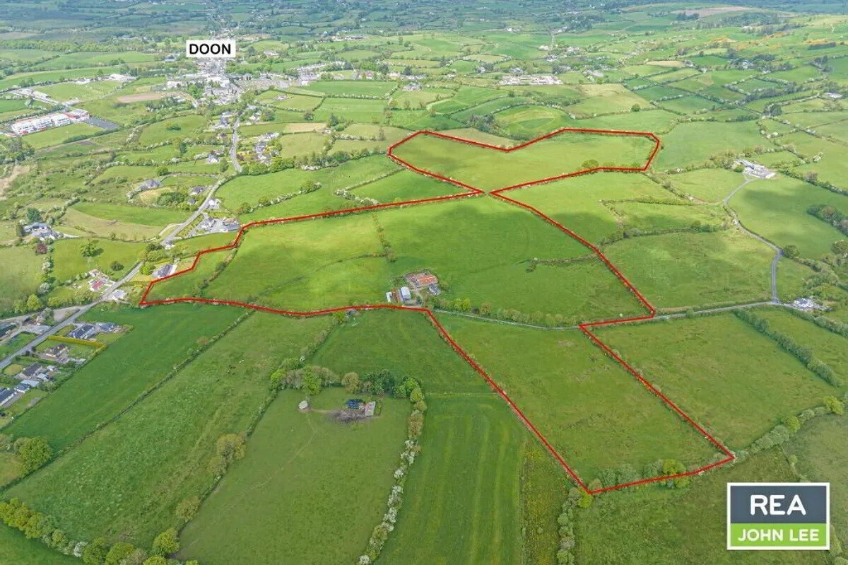 49-acre Limerick farm outside Doon accepting bids