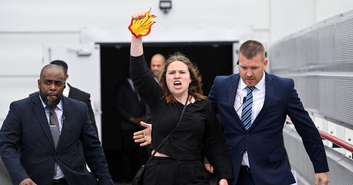 Shell CEO shielded by security as climate protesters try to storm AGM stage
