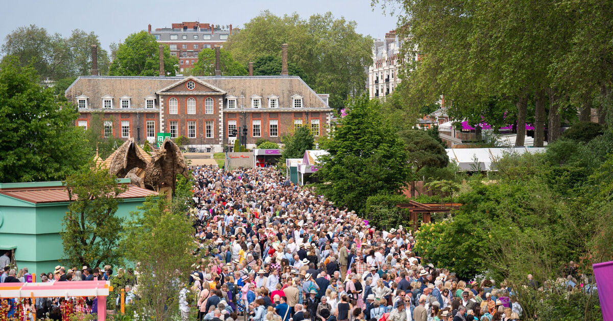 Peter Dowdall: Cork and Kerry gardeners shine at Chelsea with ...