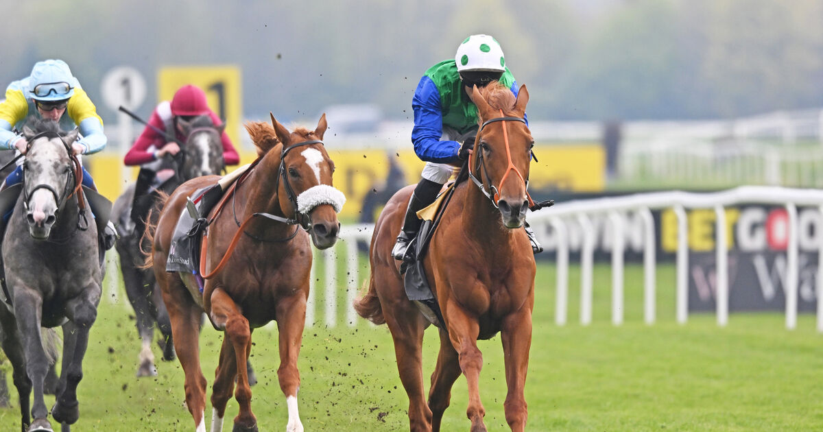 Charyn heading to the Curragh for Irish 2,000 Guineas