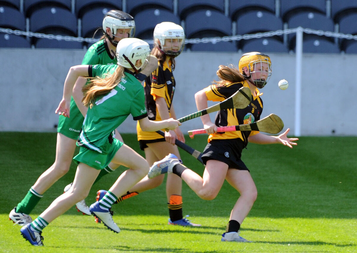Sciath na Scol finals: Victory for Innishannon and St Marys while ...