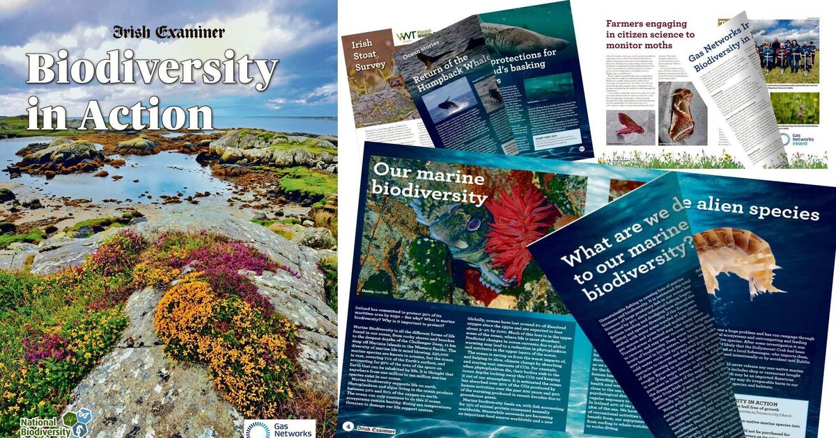 Biodiversity in Action: Your chance to help protect nature