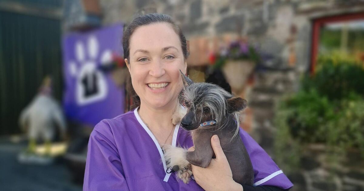 The vets on the front line helping to guide the way with agri climate ...