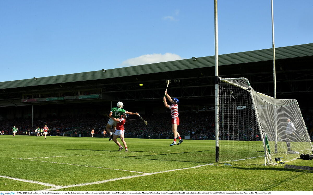 Anthony Daly: Hegarty stood tall when Limerick need was greatest