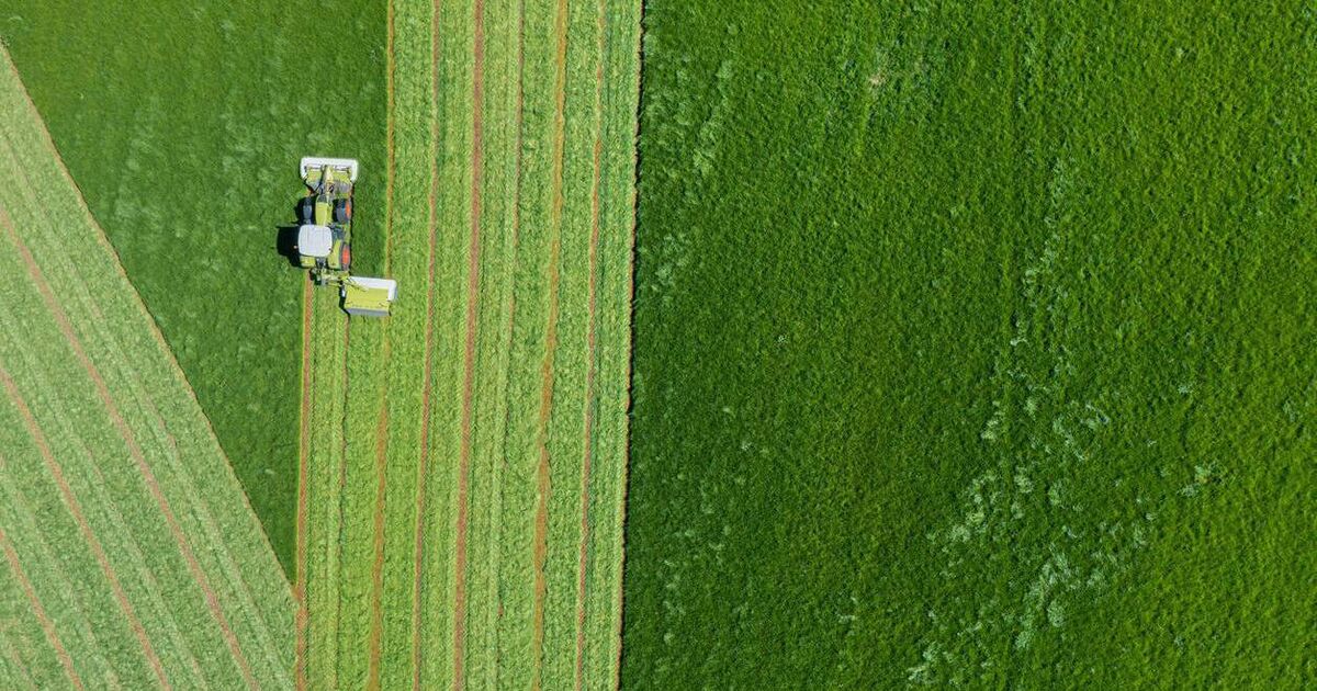 Putting a focus on silage quality this summer - tips to boost your crop ...