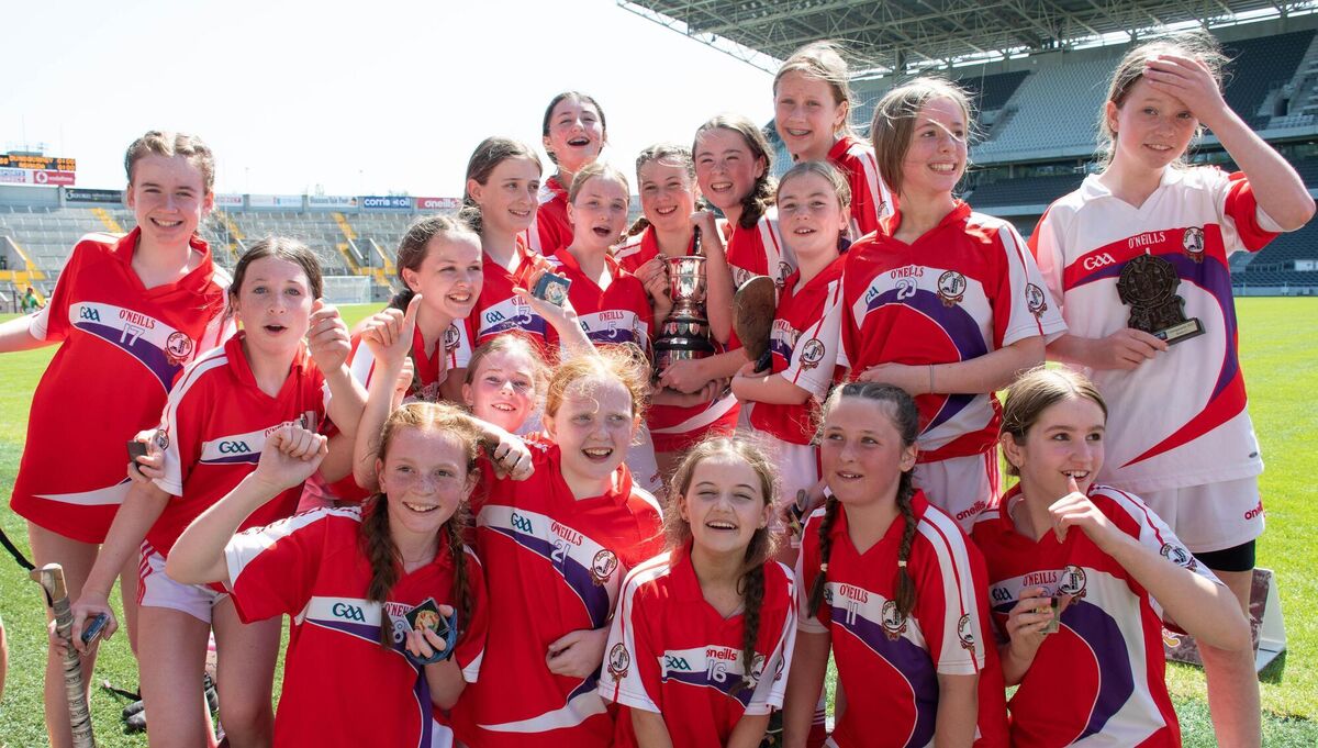 Sciath Na Scol: Wins for St Patrick's Gardiners Hill, Cloghroe, and a ...