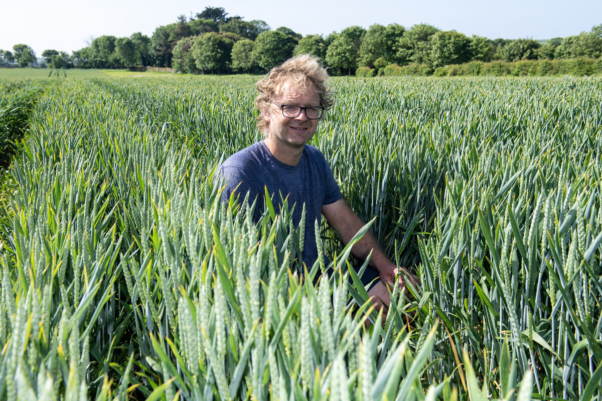 Signpost: Testing out different crop establishment systems at ...