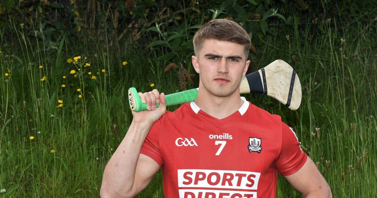 Micheál Mullins: All-Ireland there for the taking if we 'focus on ...