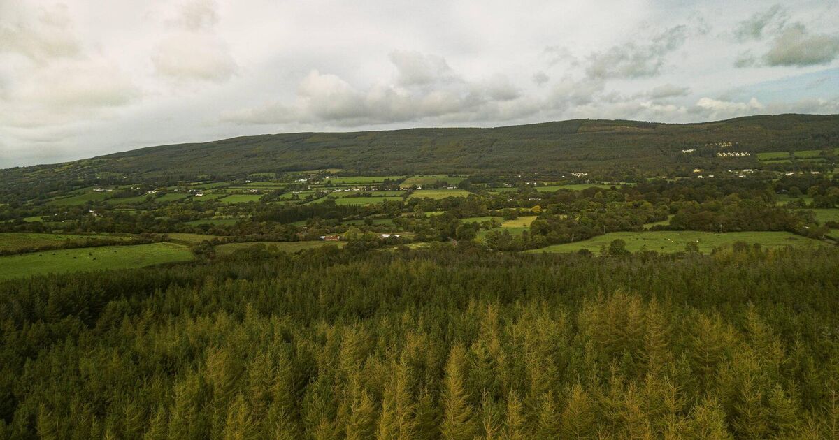 Farm forestry conference takes place next week