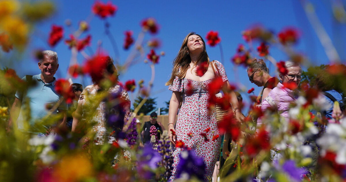 Blooming brilliant: RTÉ's Super Garden is a family affair at this year ...
