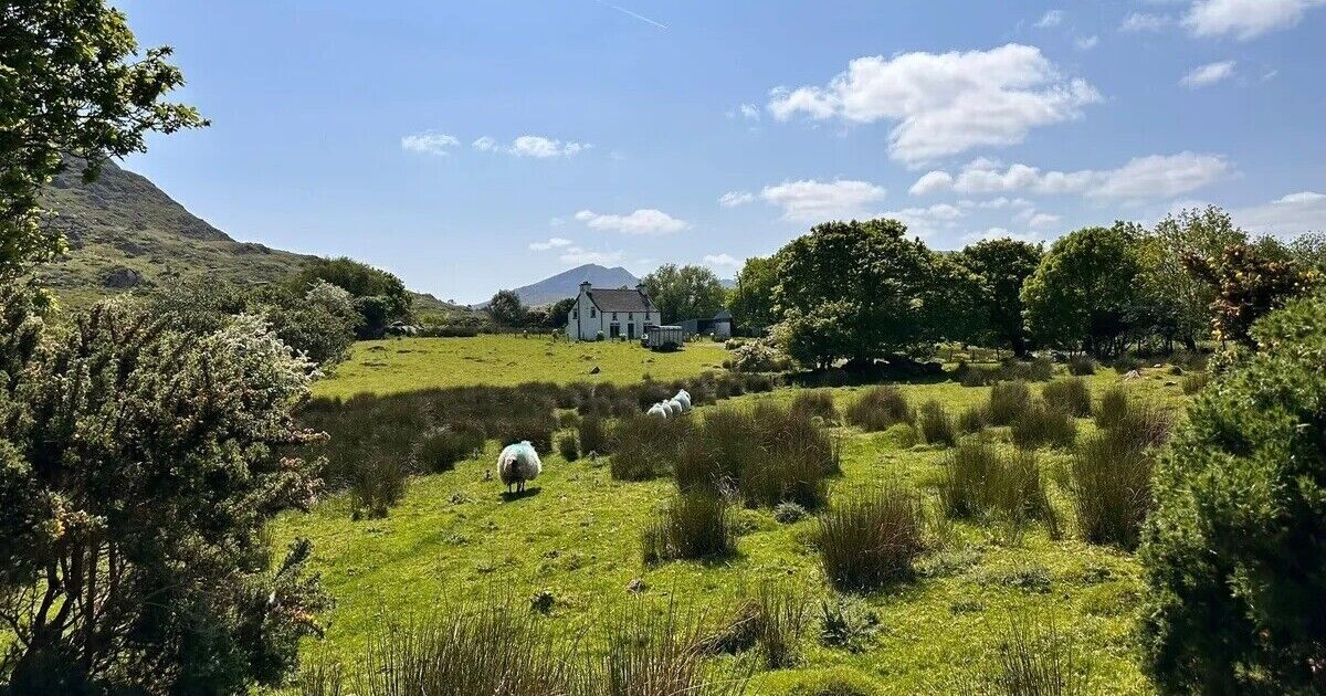 43-acre farm on Beara Peninsula already under offer
