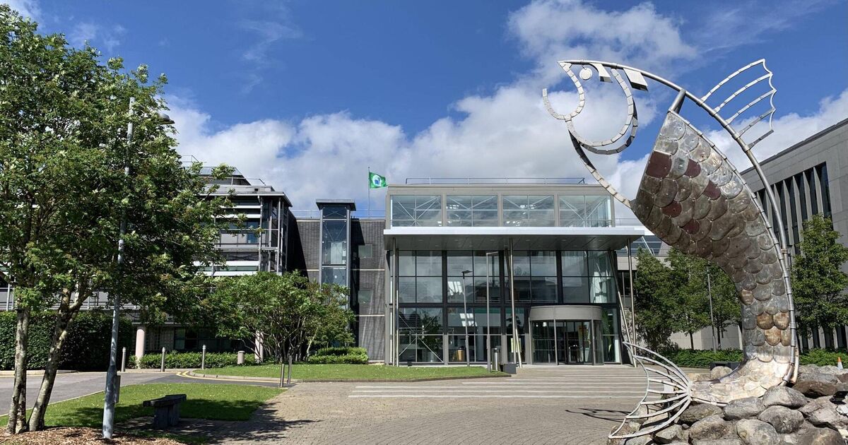 Letterkenny, Sligo, and Dundalk among cheapest locations for students