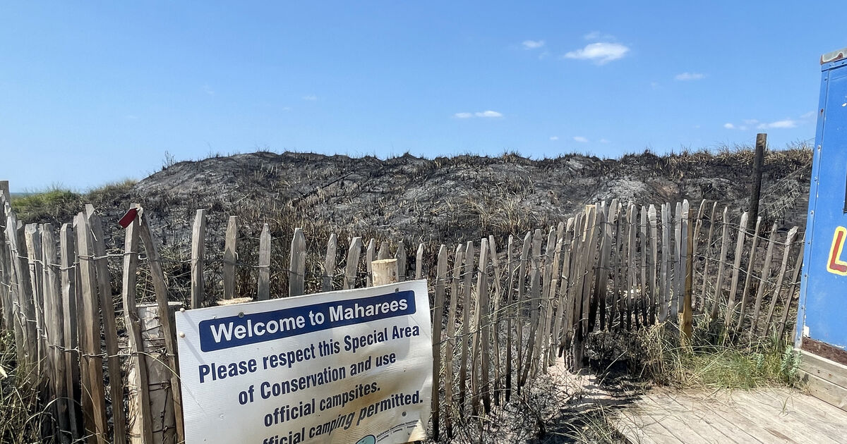 Local response praised after major dune fire at Maharees beach