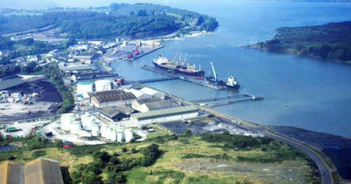 Shannon port company 'shocked' at consideration of its lands for ...