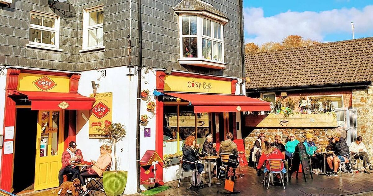 Cosy Café: You’d be barking mad not to visit!