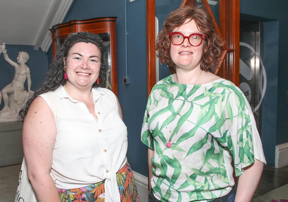 Cork Midsummer review: I Fall Down, at Crawford Art Gallery