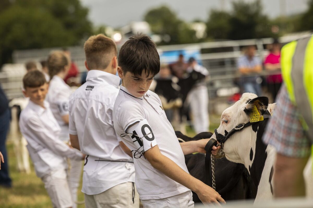 A 'sweet' Summer Show success for the McGrath family